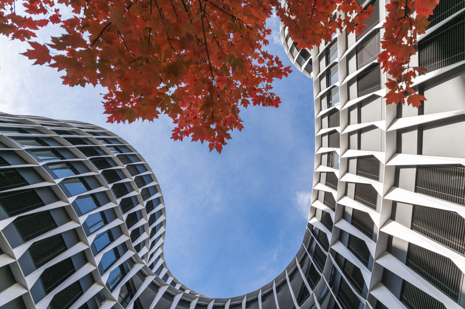 Opteven group | Constantly Evolving